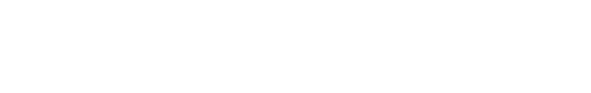 Our Partners - Data Systems Computer